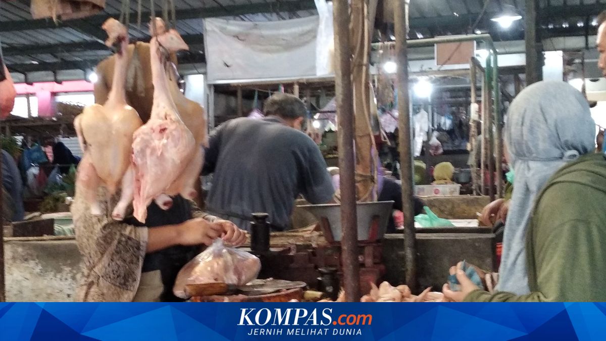 Ayam Gelonggongan di Kebayoran Lama Disuntik Air Kotor, Apa Dampaknya ...