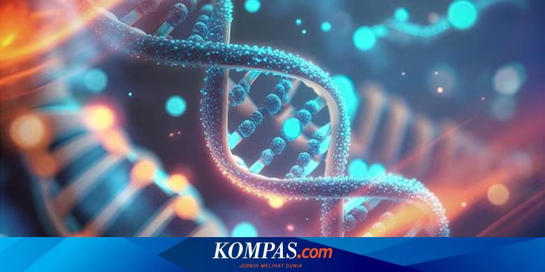 dna artinya