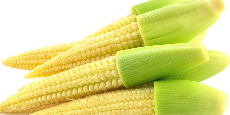 Cara Budidaya Jagung Muda atau Baby Corn