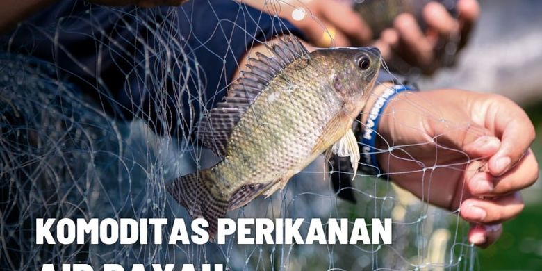 10 Jenis Komoditas Perikanan Air Payau