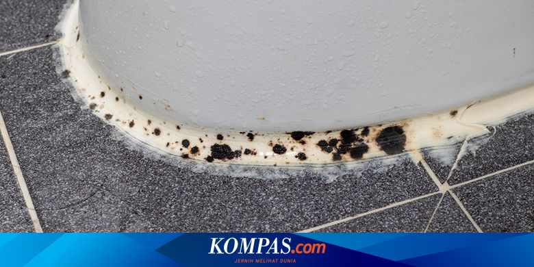 Begini Cara Cegah Pertumbuhan Jamur Hitam di Rumah Anda