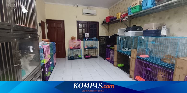 Masih Ada Slot, Ini Syarat dan Harga Menitipkan Hewan di Jaktim Selama ...