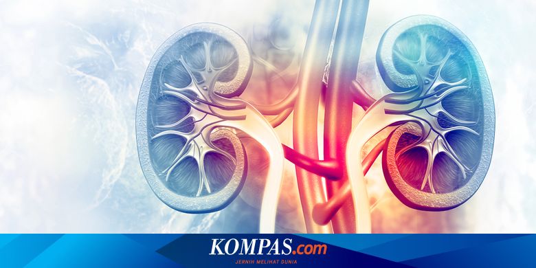 Mencegah Gagal Ginjal Akut