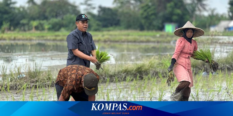 Irpom Disebut Berhasil Cegah Gagal Tanam Saat Kemarau
