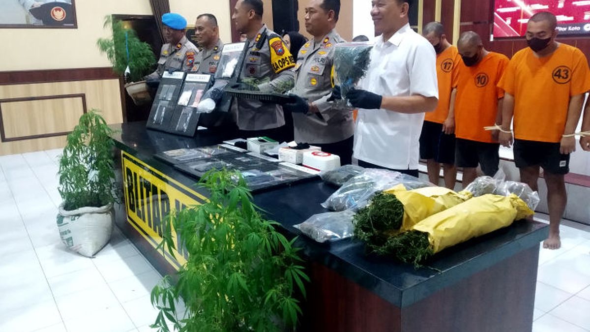 7 Fakta Ladang Ganja di Blitar, Dibudidayakan 2 Tahun hingga Ada 820 ...
