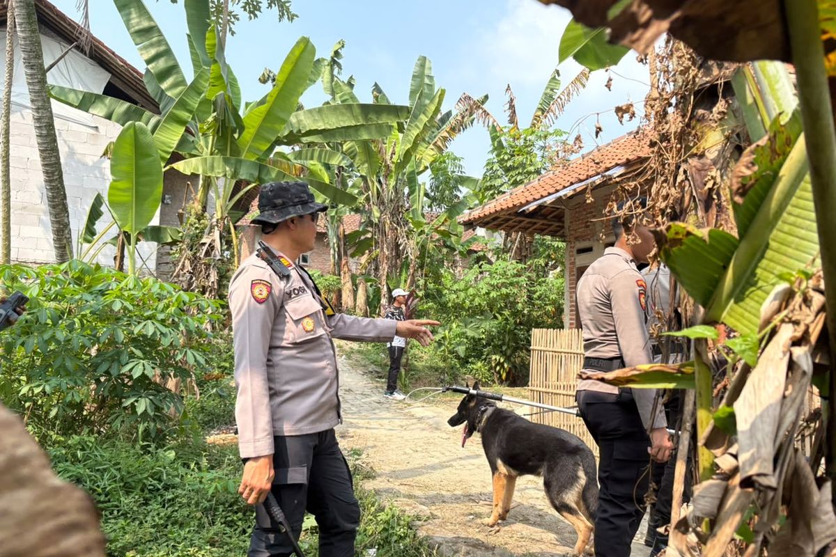 Polisi Pastikan 4 Anjing Pemburu yang Tewaskan Bocah di Jasinga Bogor ...