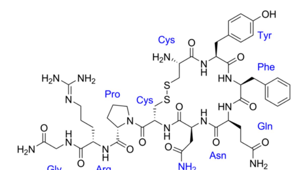 Hormon Oksitosin: Pengertian dan Fungsinya