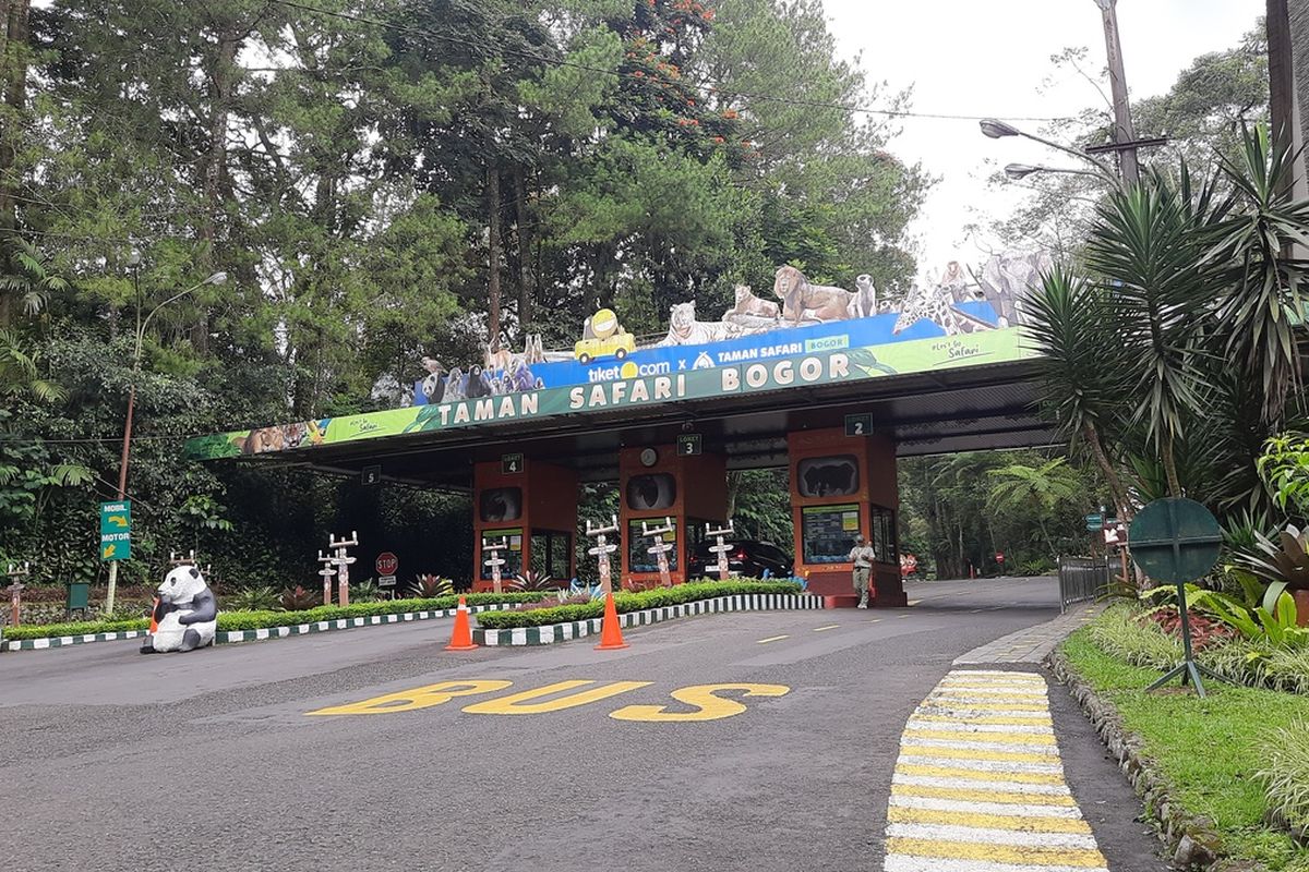 Siapa Pemilik Taman Safari Indonesia?