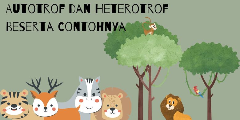 Perbedaan Makhluk Hidup Autotrof dan Heterotrof Beserta Contohnya