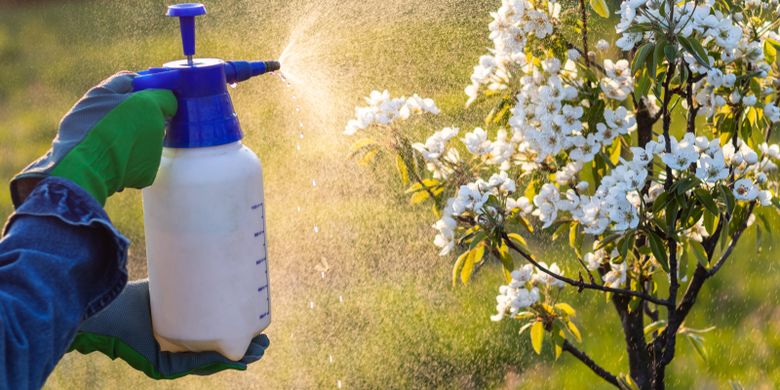 Kapan Harus Gunakan Semprotan Pestisida? Berikut Penjelasannya