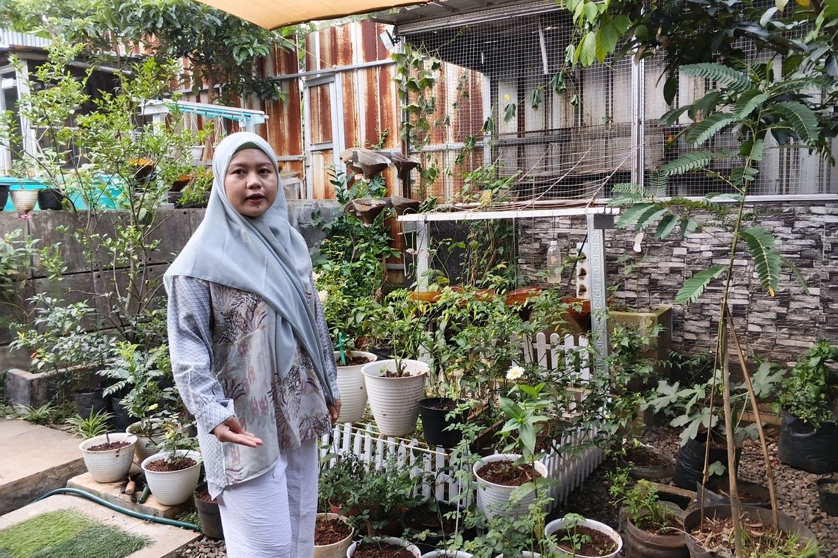 Dari IT ke "Urban Farming", Kisah Dewi Menata Hidup di Cibinong lewat ...