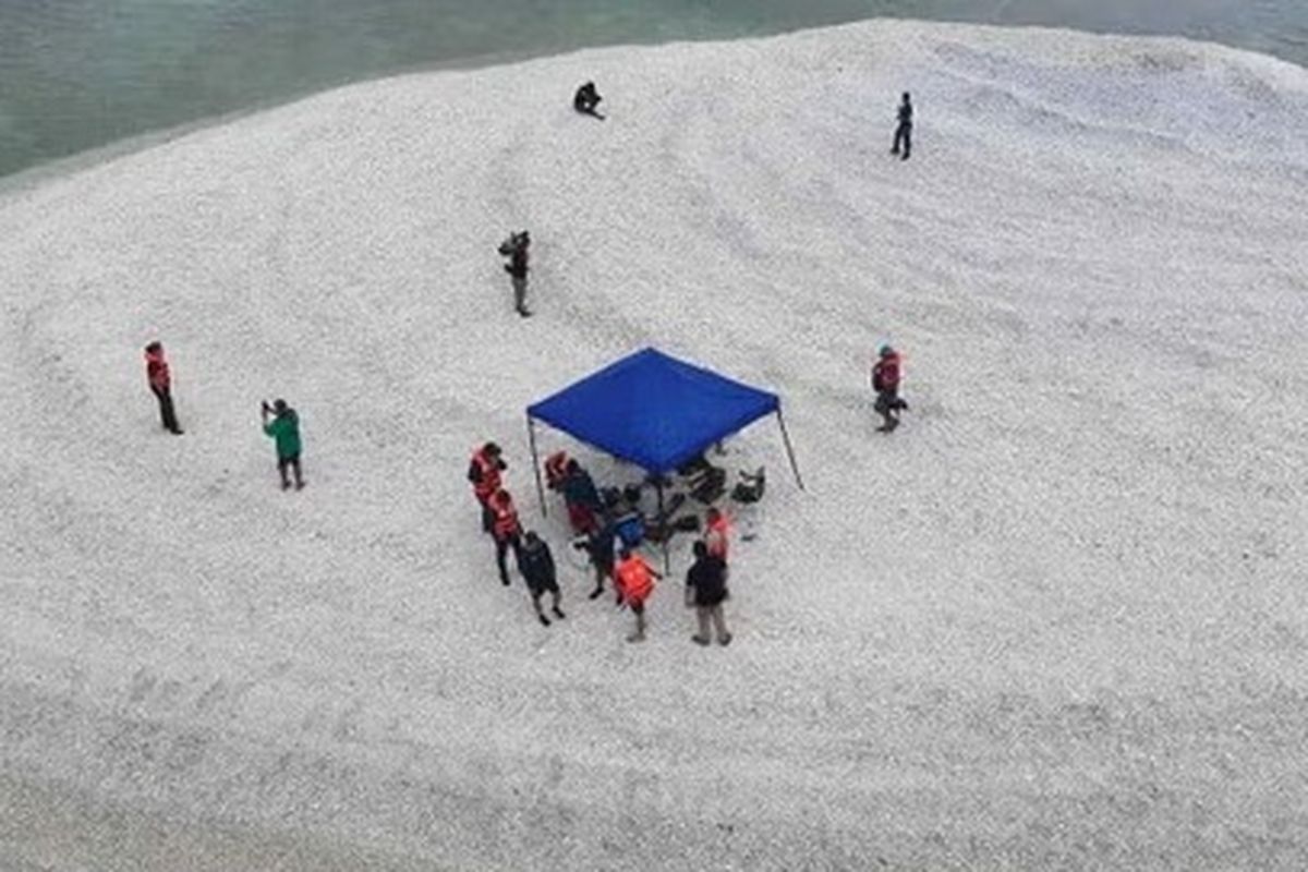 Makin Memanas, Kini China Kuasai Terumbu Karang Dekat Pangkalan Militer ...