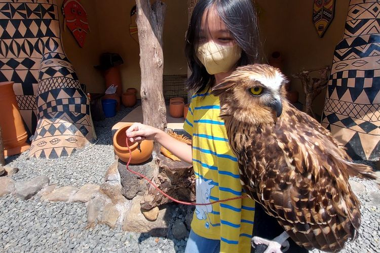 African Pavilion, Destinasi Baru di Lembang yang Tawarkan Suasana ...