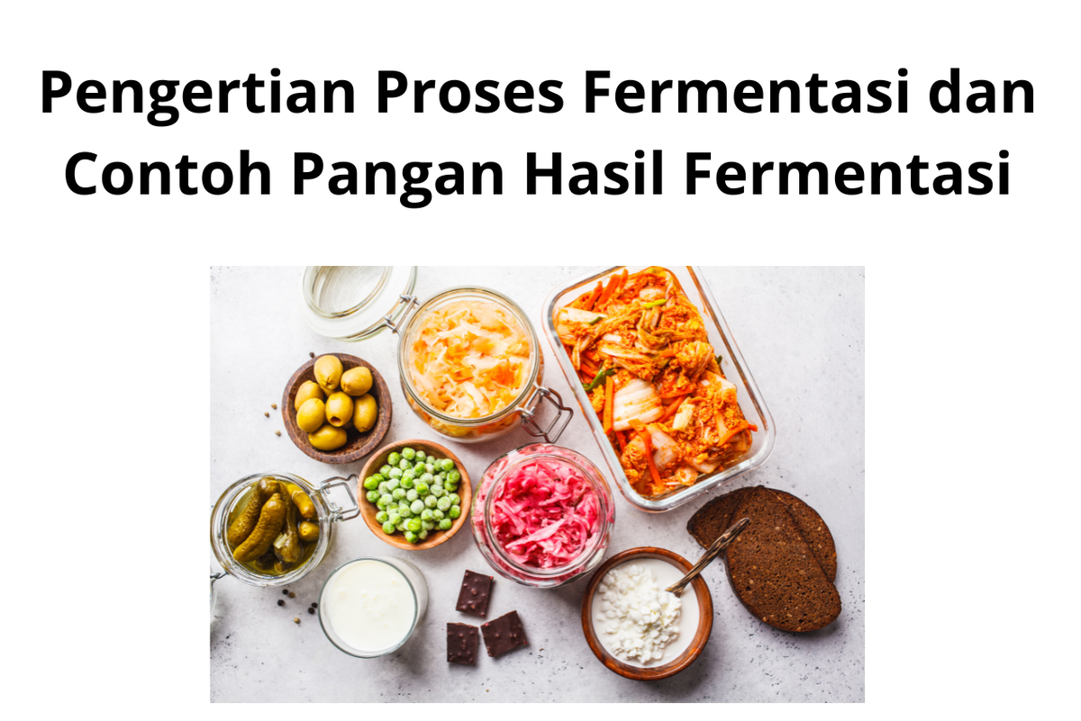 Pengertian Proses Fermentasi dan Contoh Pangan Hasil Fermentasi