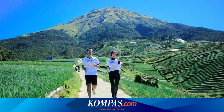 Wisata Terasering Sitegong, Sukomakmur, Magelang yang Indah Berlatar ...