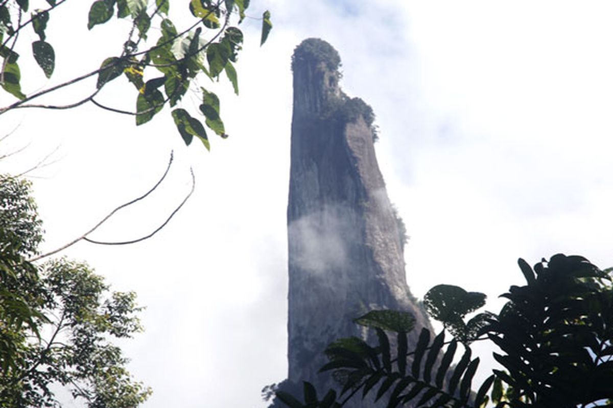 Gali Potensi Wisata Calon Ibu Kota, Mapala UI Ekspedisi Panjat Tebing