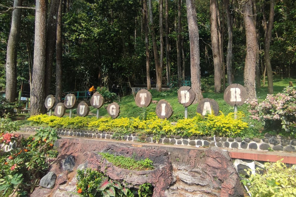 Imbas Pohon Tumbang Memakan Korban, Gunung Tidar Magelang Tutup Sementara
