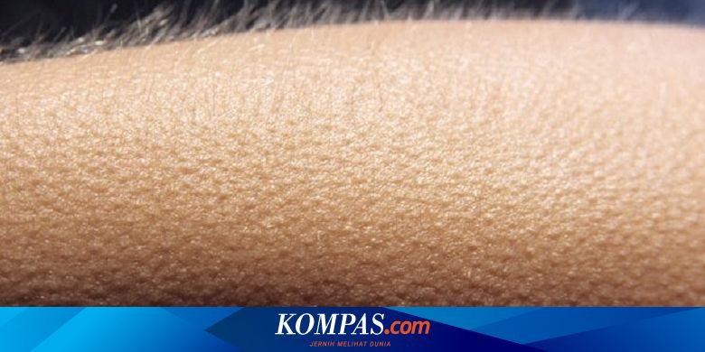 Ilmuwan Ungkap Penyebab Merinding Menurut Sains