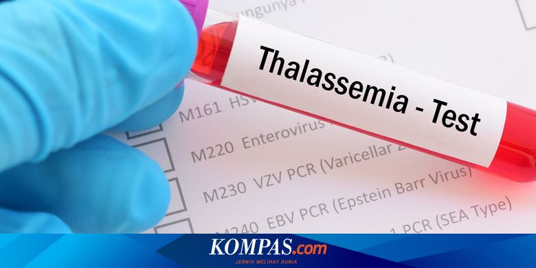 Mengenal Talasemia: Jenis, Gejala, dan Penyebabnya