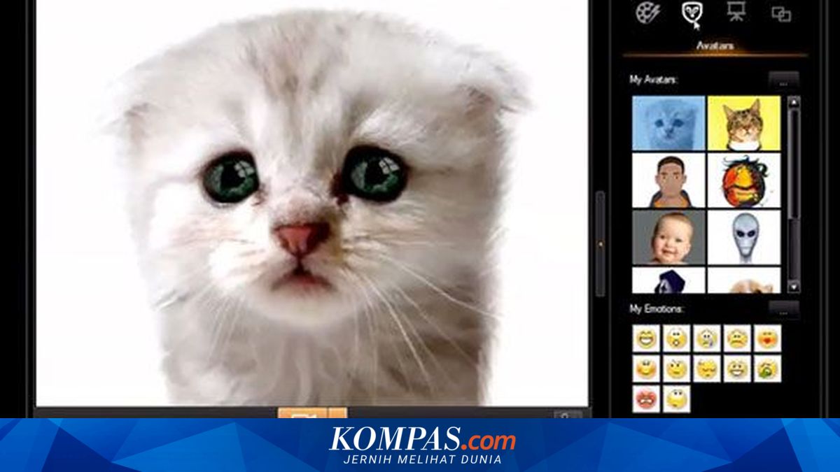 Filter Zoom Ubah Wajah Pengacara Jadi Kucing Saat Sidang Online