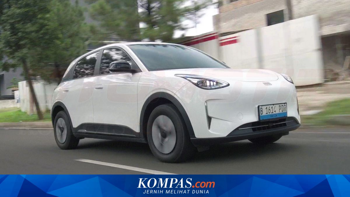 Perang Mobil Listrik Rp 200 Jutaan: BYD dan Geely Dominasi Pasar
