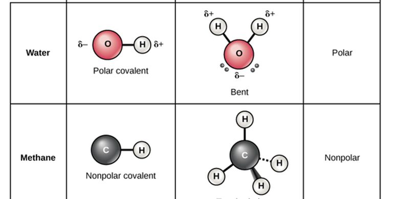 Ikatan Kovalen PPT) PPT Ikatan Kovalen Koordinasi