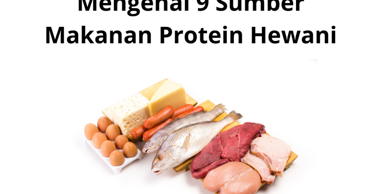 Mengenal 9 Sumber Makanan Protein Hewani