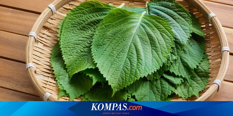 Apa Itu Daun Perilla, Biasa Dipakai Sebagai Pembungkus BBQ Korea?