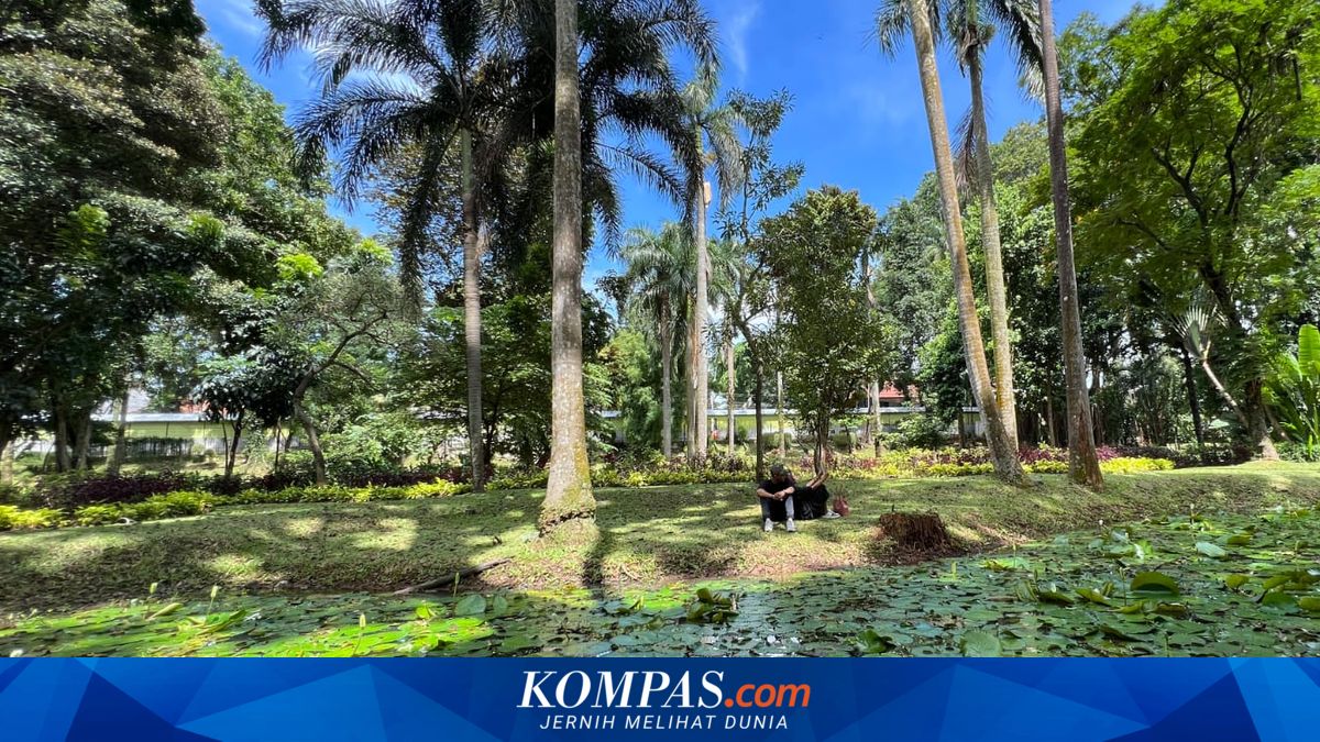 Jakarta Akan Punya Taman Besar Februari 2026, Jogging Track Lebih ...