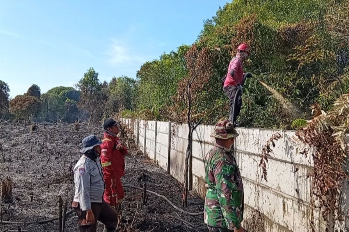 Kebakaran Lahan di Kampar Riau, Tim Pemadam: Diduga Sengaja Dibakar