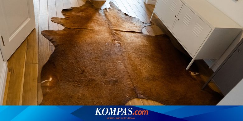 Cara Membersihkan Karpet Kulit Sapi dengan Benar