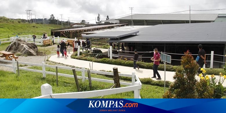 Desa Cattle Farm di Sabah, Cocok untuk Wisata Keluarga di Malaysia
