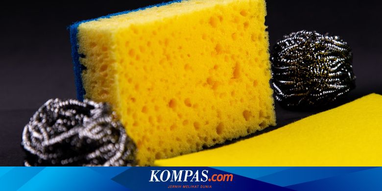 Seberapa Sering Harus Mengganti Spons Dapur?