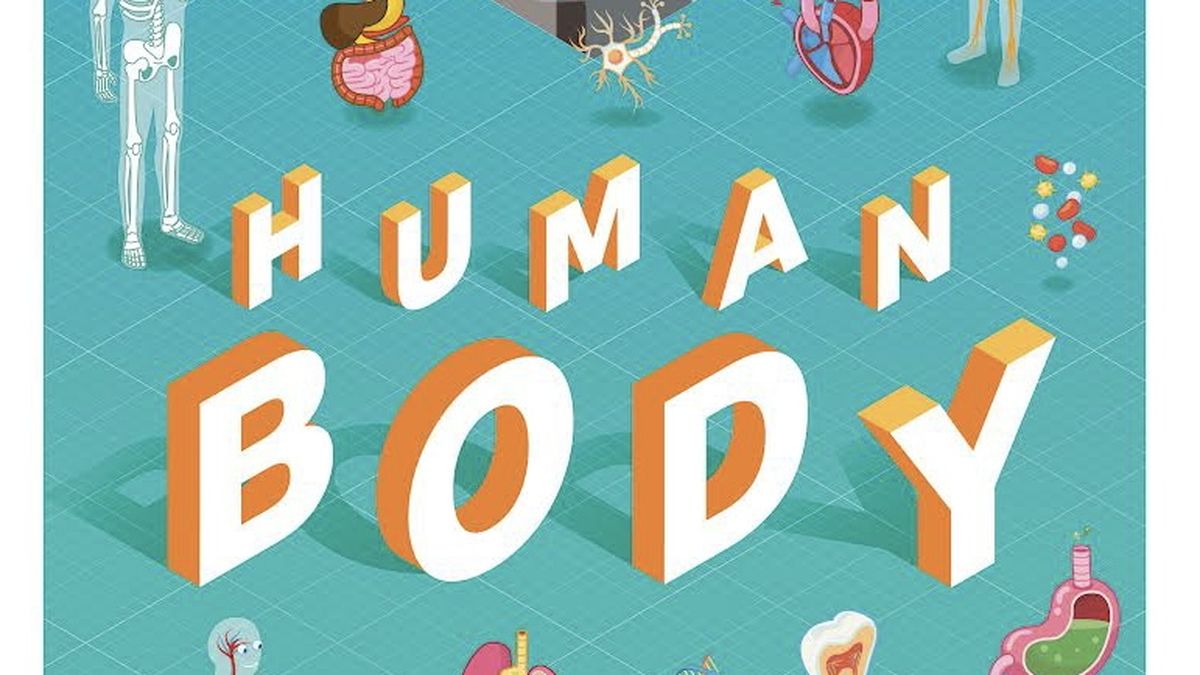 Lift the Flap: Human Body - Kompas.com