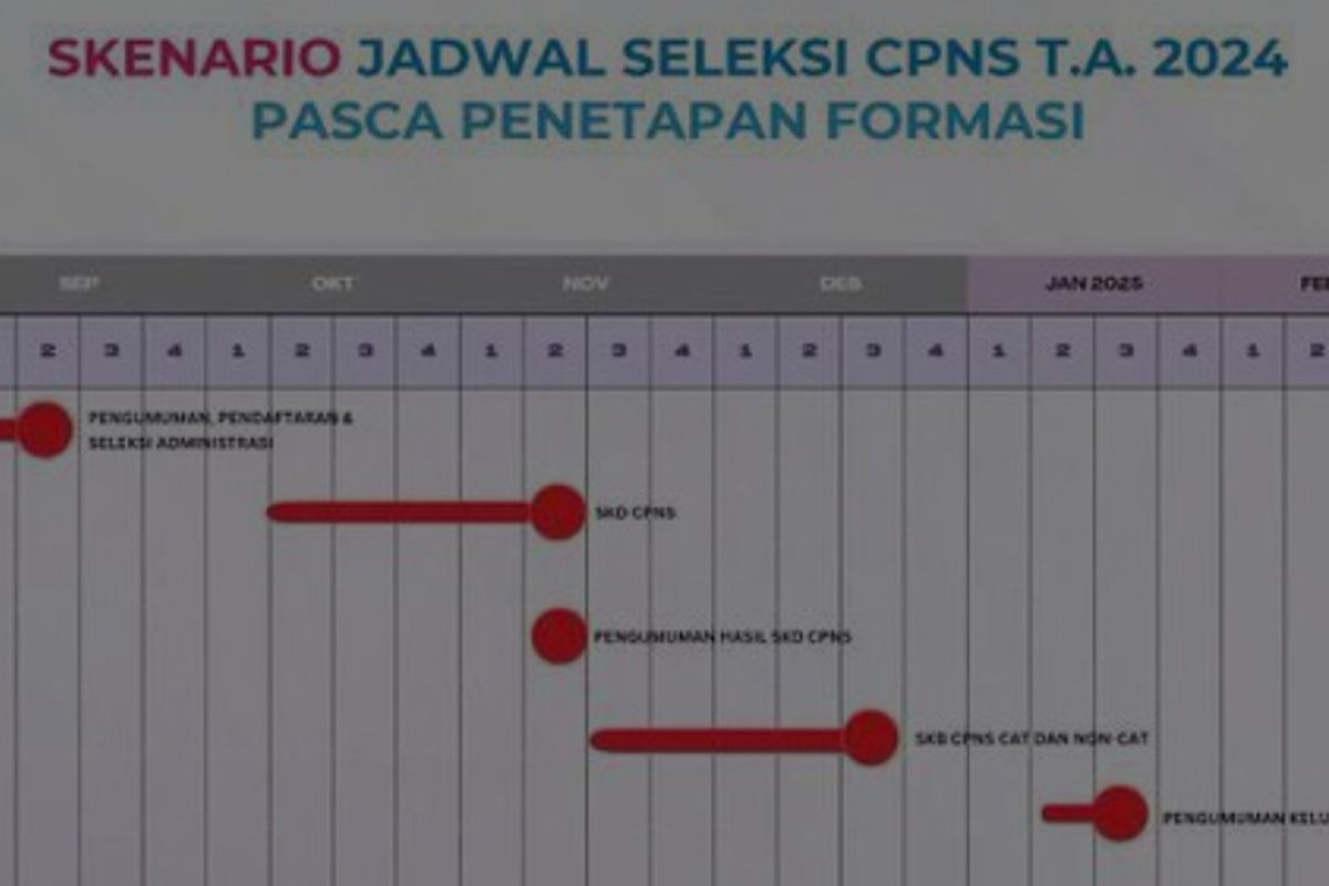 Beredar Jadwal Seleksi CPNS Dimulai Agustus 2024, Ini Penjelasan BKN