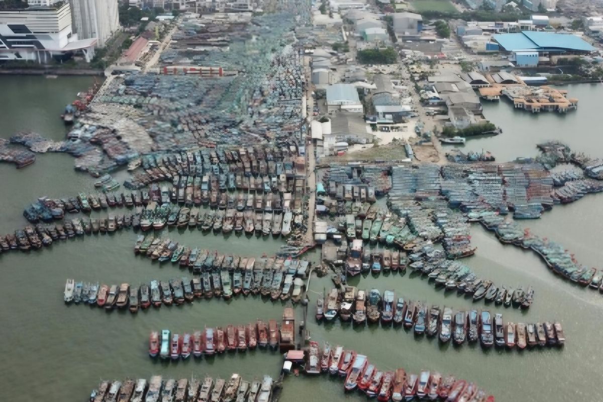 Terungkap, Ini Biang Kerok Kapal Menumpuk di Pelabuhan Muara Angke