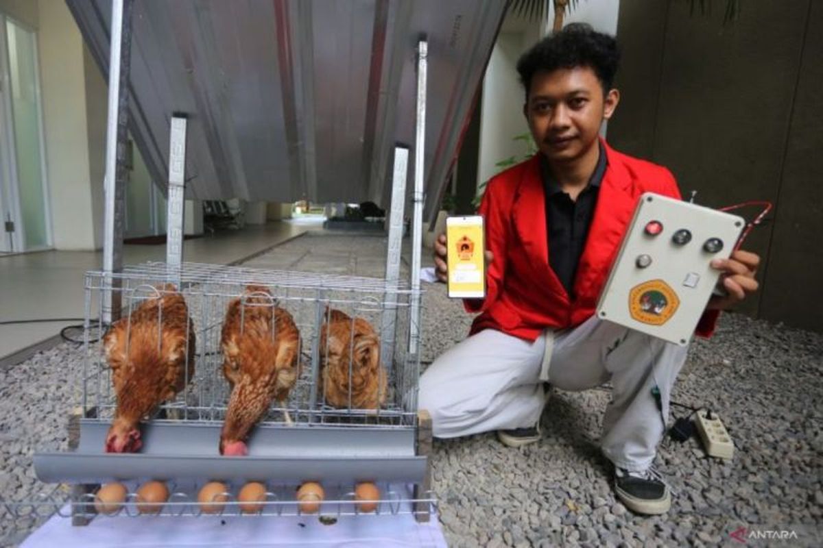Inovasi IoT Mahasiswa Untag Tingkatkan Produktivitas Ayam Petelur di ...