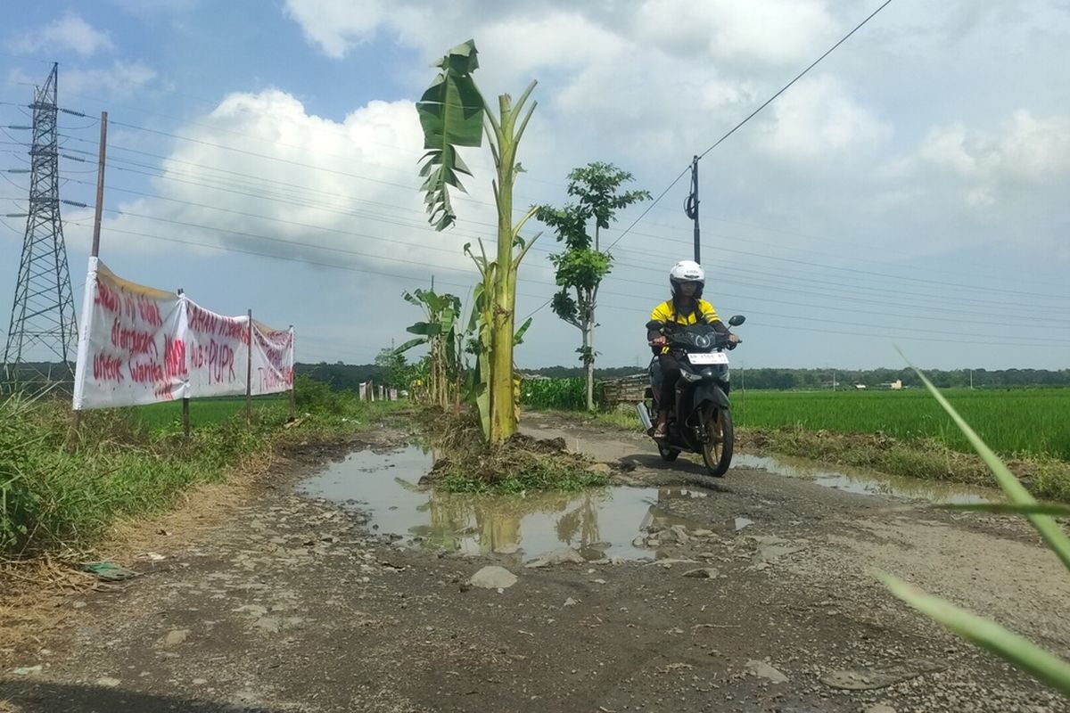 Pohon Pisang Simbol Protes Warga, Jalan Rusak Bertahun-tahun Tak ...
