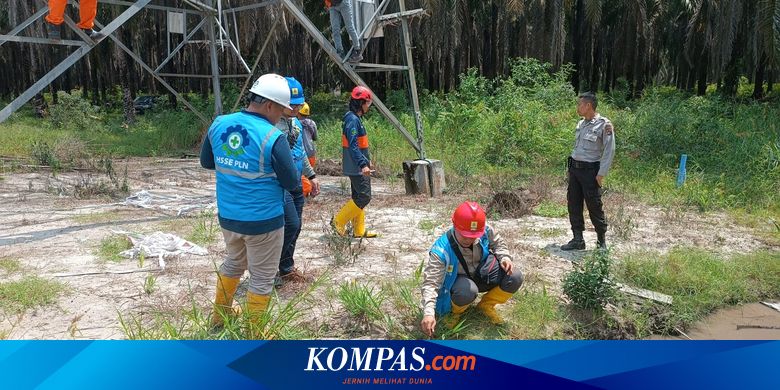 Lahan "Dijarah" Penambang, Belasan Tower SUTT PLN di Babel Kritis