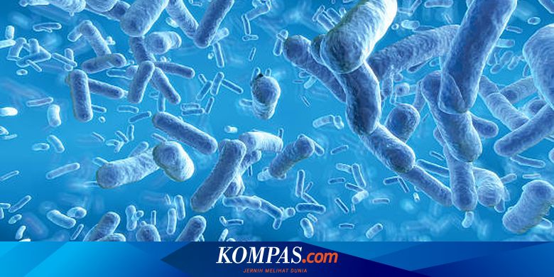 Fenomena Superbug di India Bisa Jadi Pandemi? Ini Kata Epidemiolog