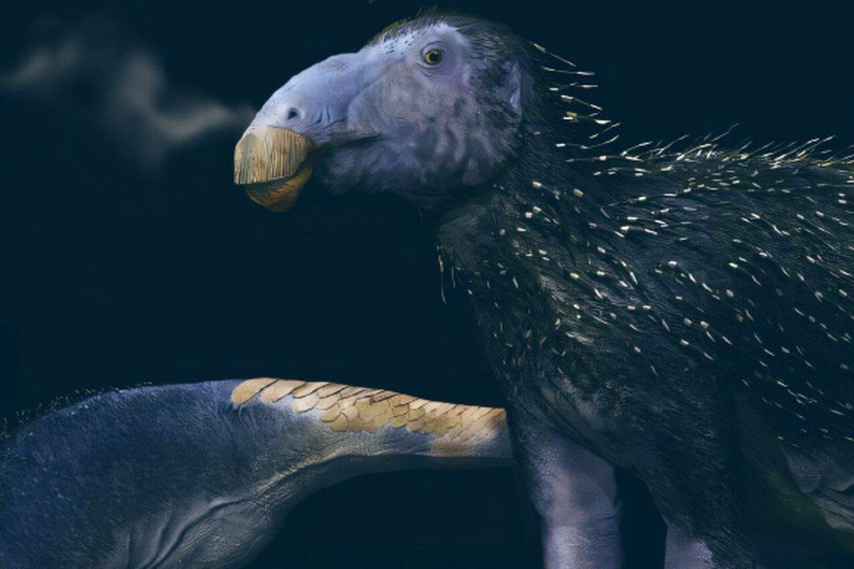 Spesies Dinosaurus Baru Ditemukan dengan Struktur Kulit Unik