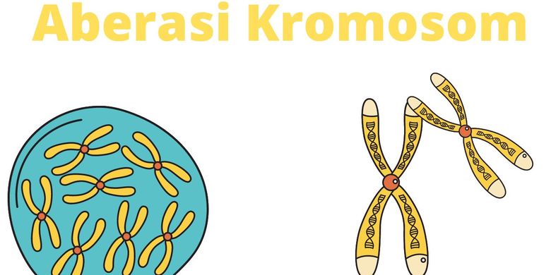 Jenis Aberasi Kromosom