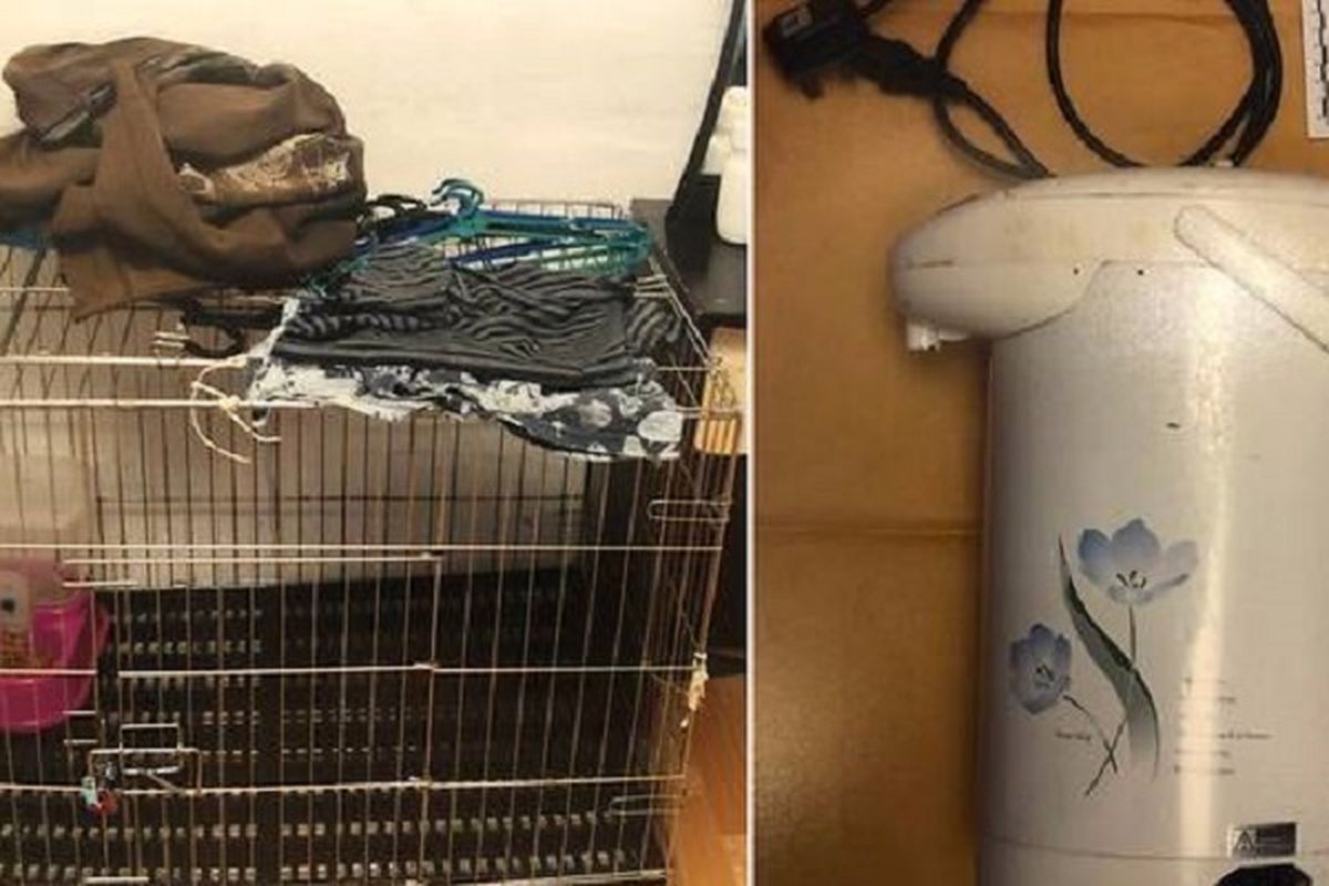 Siksa Anaknya yang Berusia 5 Tahun hingga Tewas, Terungkap Kecerdasan ...