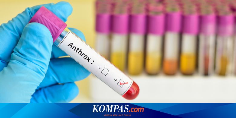 Kementan Investigasi Kasus Antraks di Gunungkidul