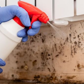 Cara Membersihkan Jamur yang Muncul di AC agar Udara Sehat dan Segar