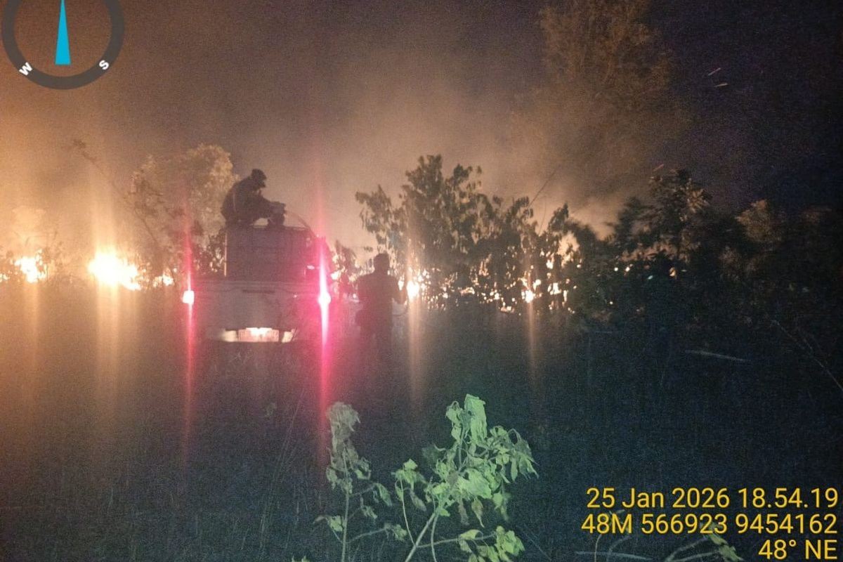 Kebakaran Ribuan Hektar di Taman Nasional Way Kambas Diduga Disengaja ...