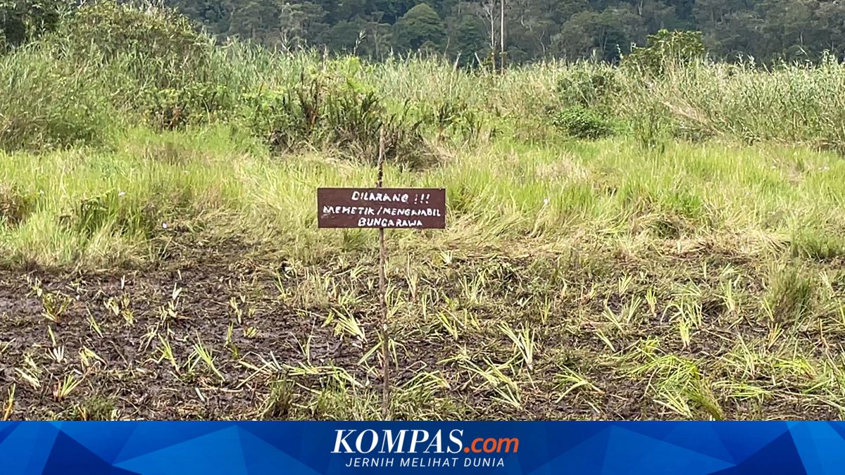 Ranca Upas Stop Kegiatan Offroad, Imbas Kerusakan akibat Event Motor Trail