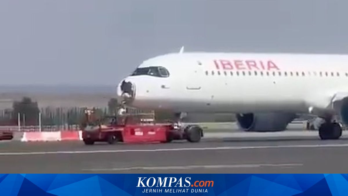 Moncong Iberia Menganga Besar, Bukti Bahayanya Pesawat Tabrak Burung