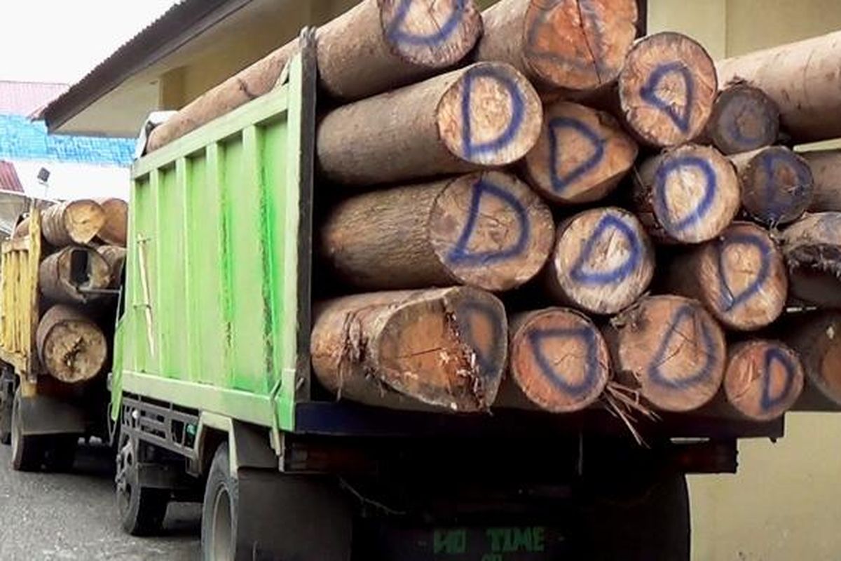 Indonesia Pengekspor Kayu Nomor Satu Dunia, tetapi...
