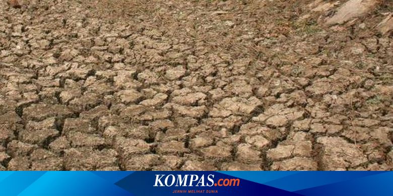 Dua Kabupaten di DIY Dilanda Kekeringan, Gunungkidul Berstatus Siaga Darurat